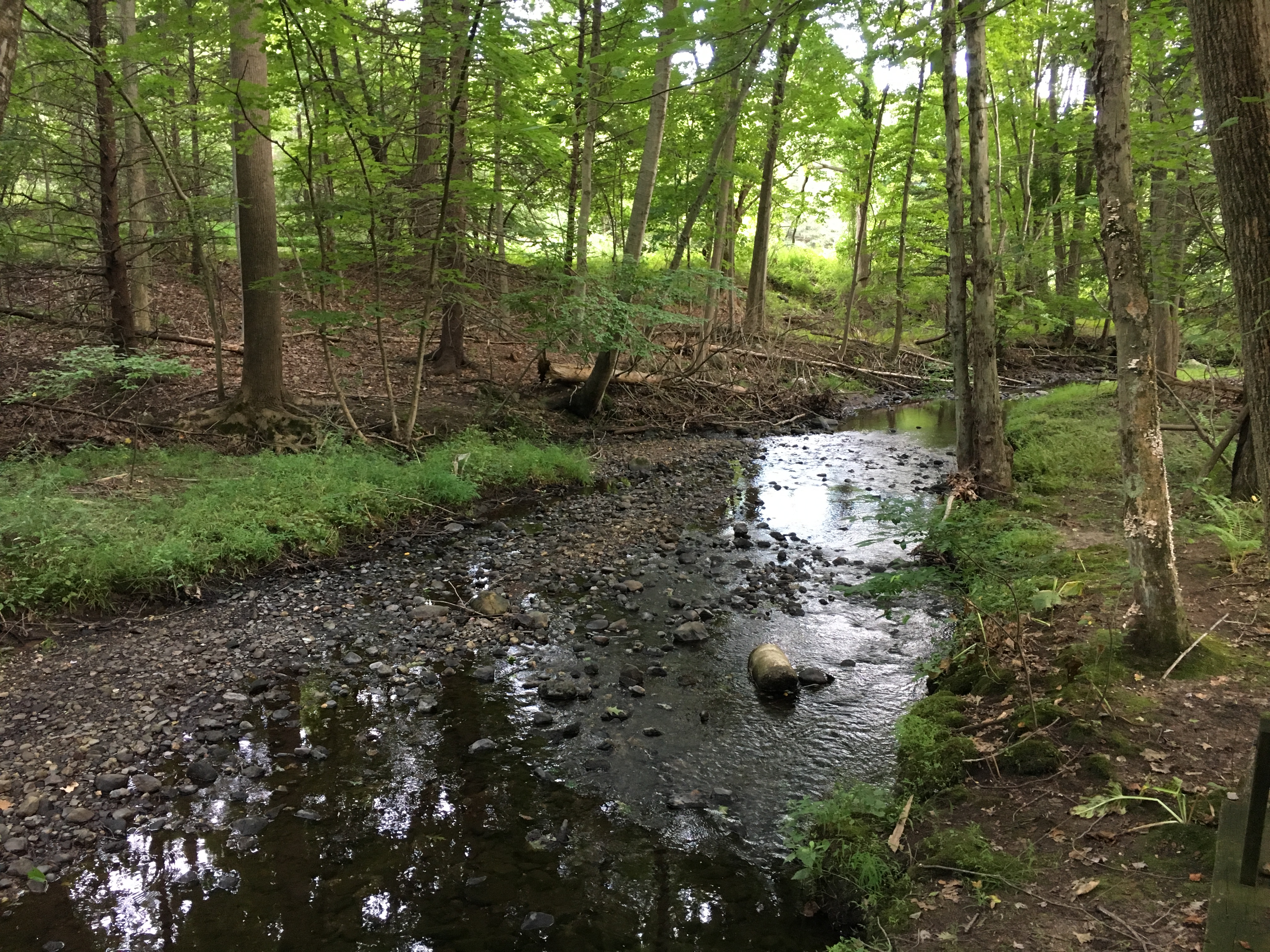 Pet and Family Friendly Hikes – Off The Trails: A Hiker's Guide to the ...