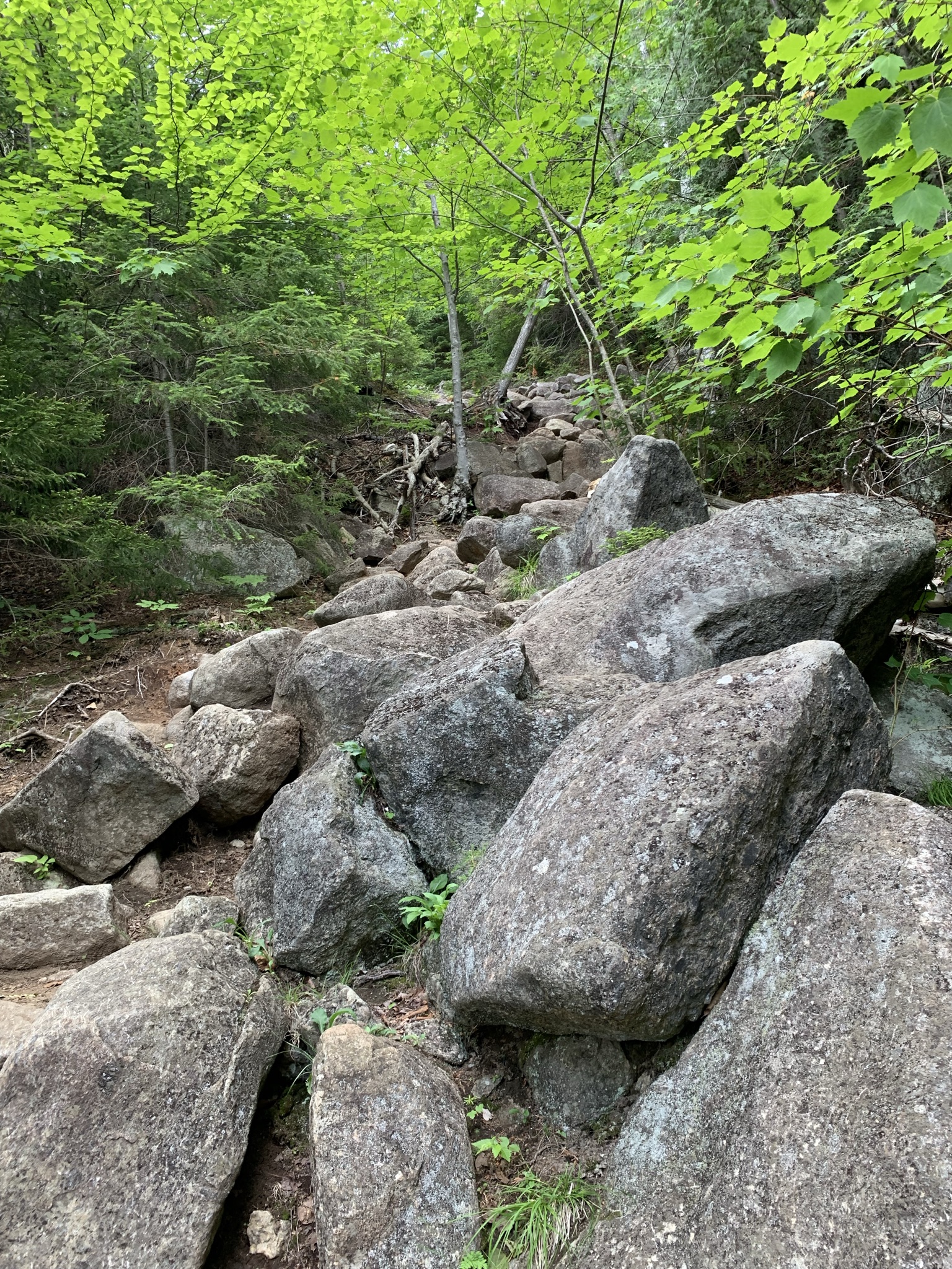 Mount Jo – Off The Trails: A Hiker's Guide to the Outdoors