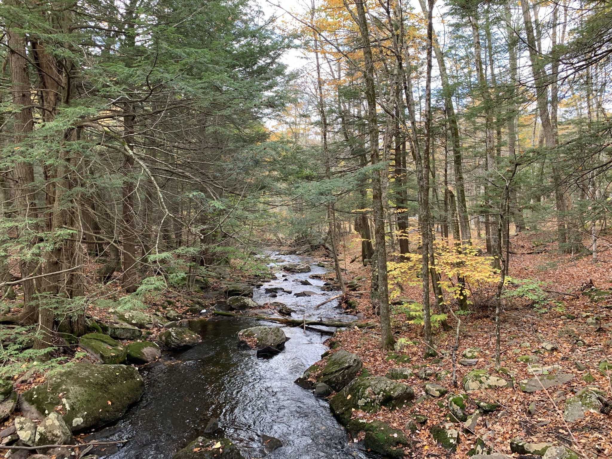 Kaaterskill Falls-Summer/Fall – Off The Trails: A Hiker's Guide to the ...